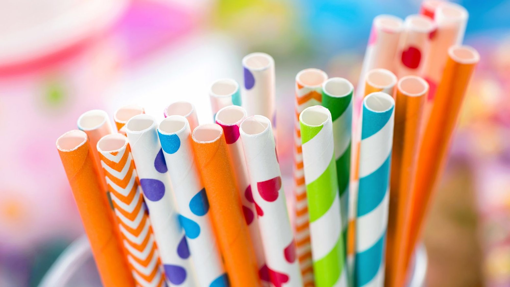 Which plants can be made into straws? Differences between seven types ...