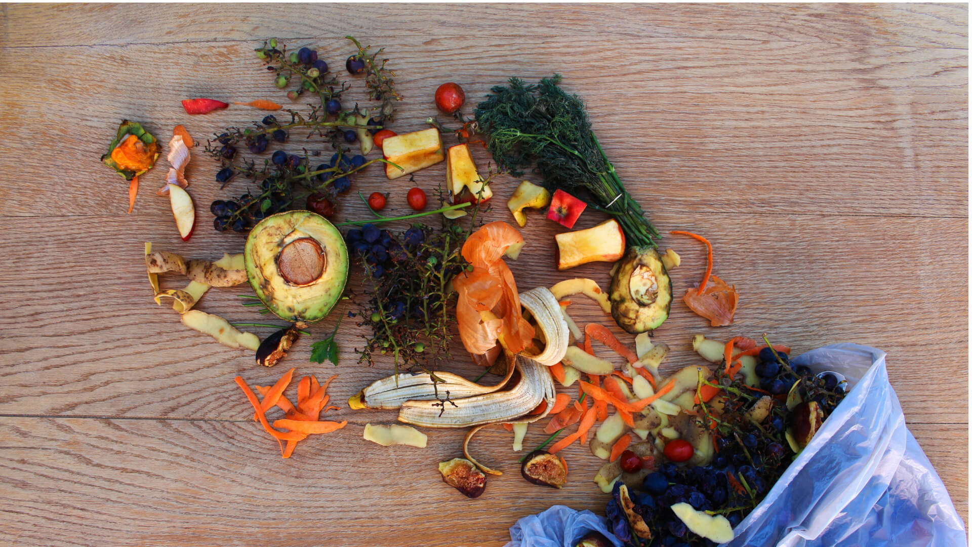 114 articles compostables : liste des articles compostables du bureau ...