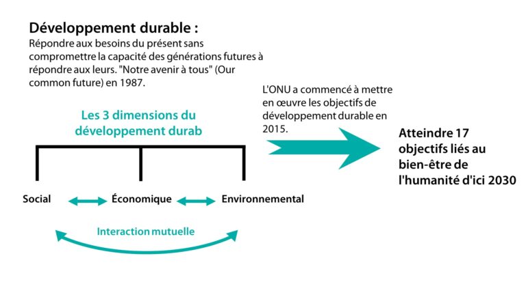 17 Objectifs : Qu’est-ce que les ODD ? Pourquoi sont-ils importants ...