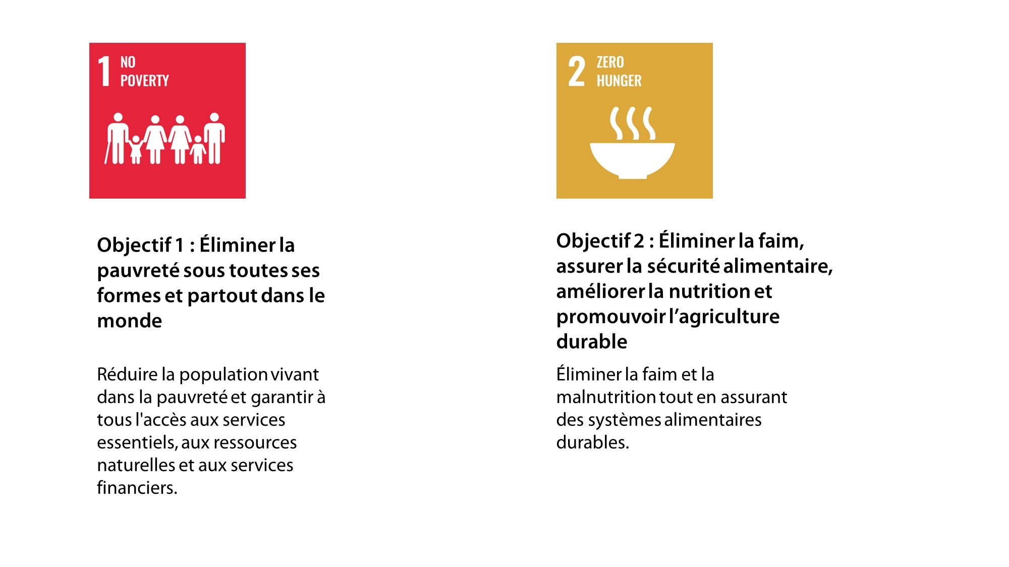 17 Objectifs : Qu'est-ce que les ODD ? Pourquoi sont-ils importants ...