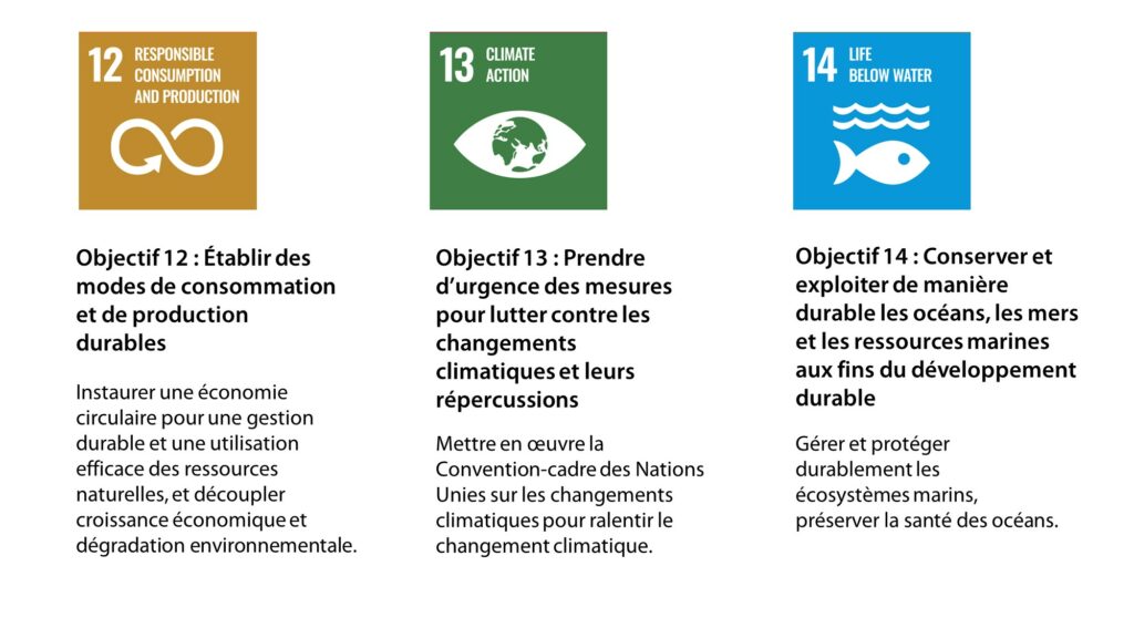 17 Objectifs : Qu'est-ce que les ODD ? Pourquoi sont-ils importants ...