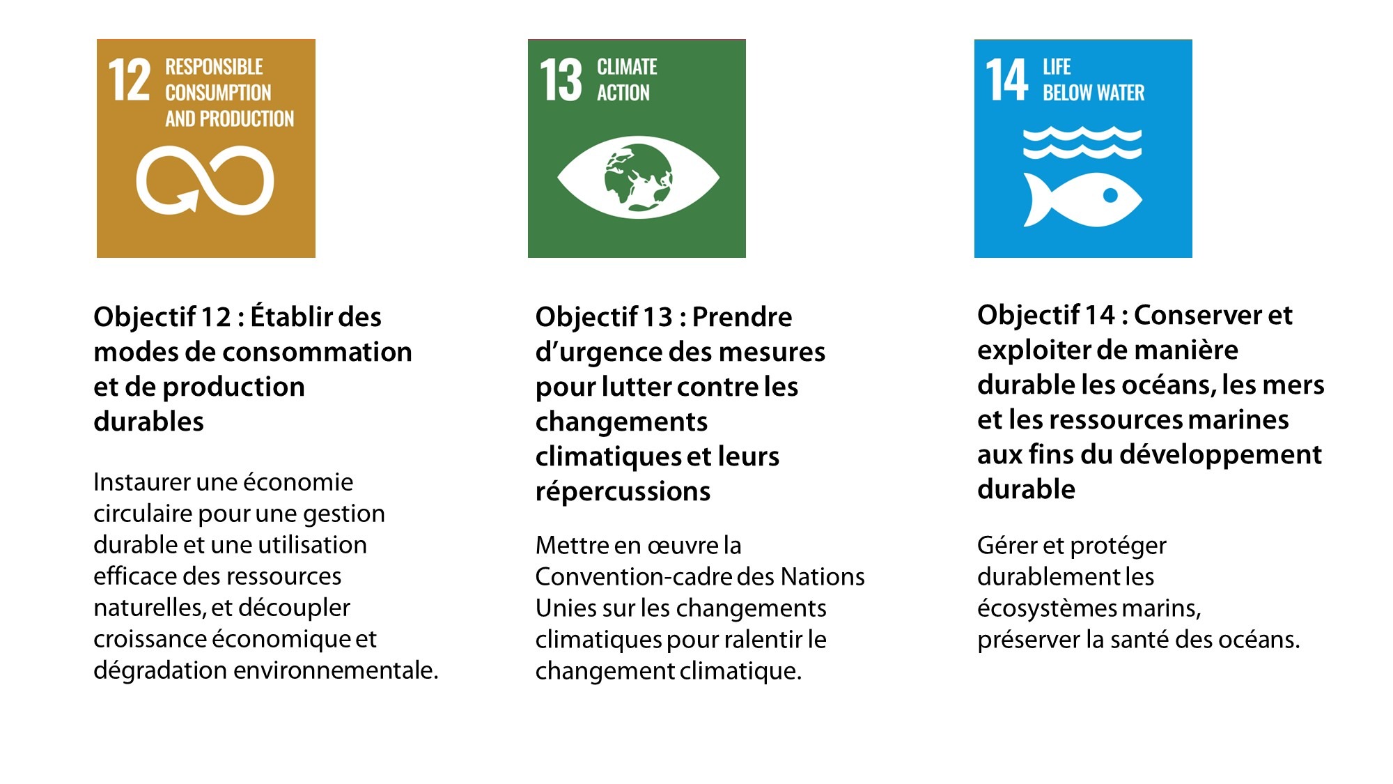 17 Objectifs : Qu'est-ce que les ODD ? Pourquoi sont-ils importants ...