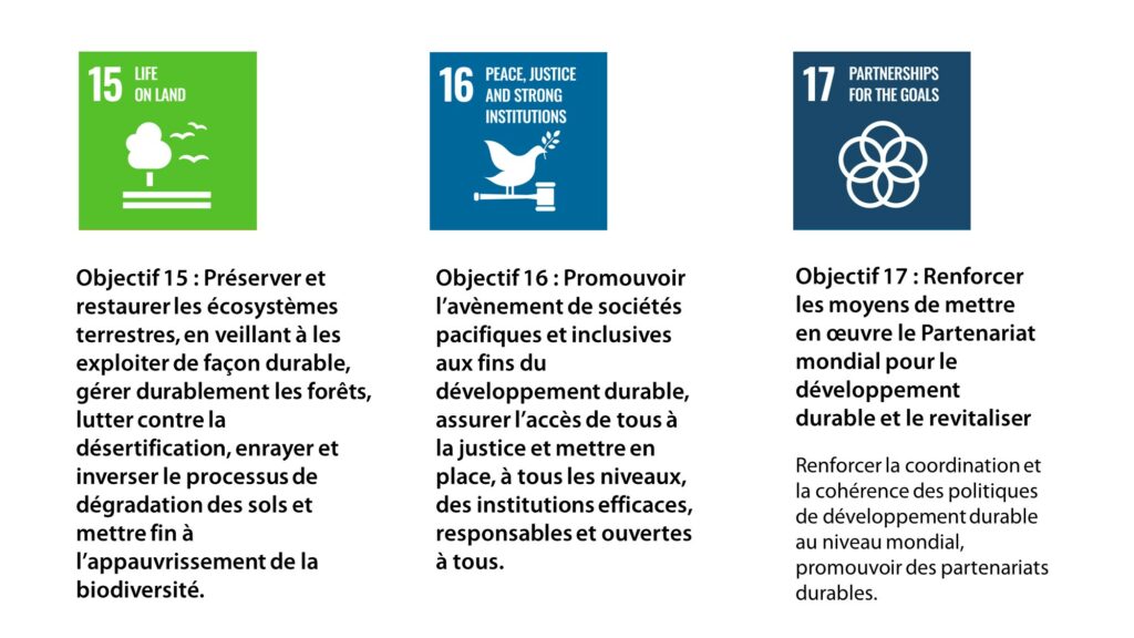 17 Objectifs : Qu'est-ce que les ODD ? Pourquoi sont-ils importants ...