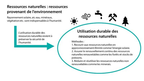 L’importance de l’utilisation durable : la “réutilisation durable” des ...