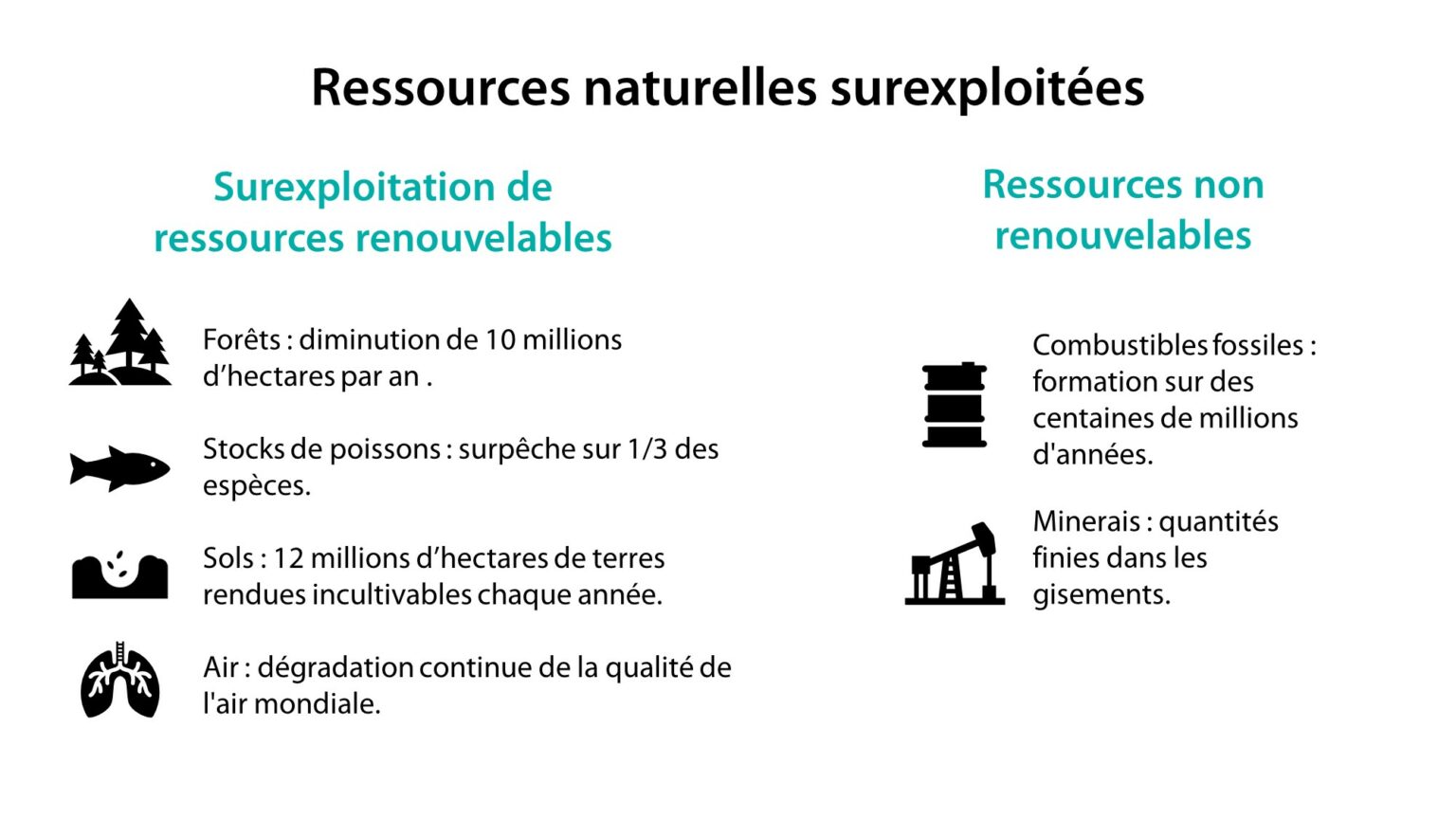 L’importance de l’utilisation durable : la “réutilisation durable” des ...