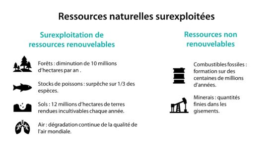 L’importance de l’utilisation durable : la “réutilisation durable” des ...