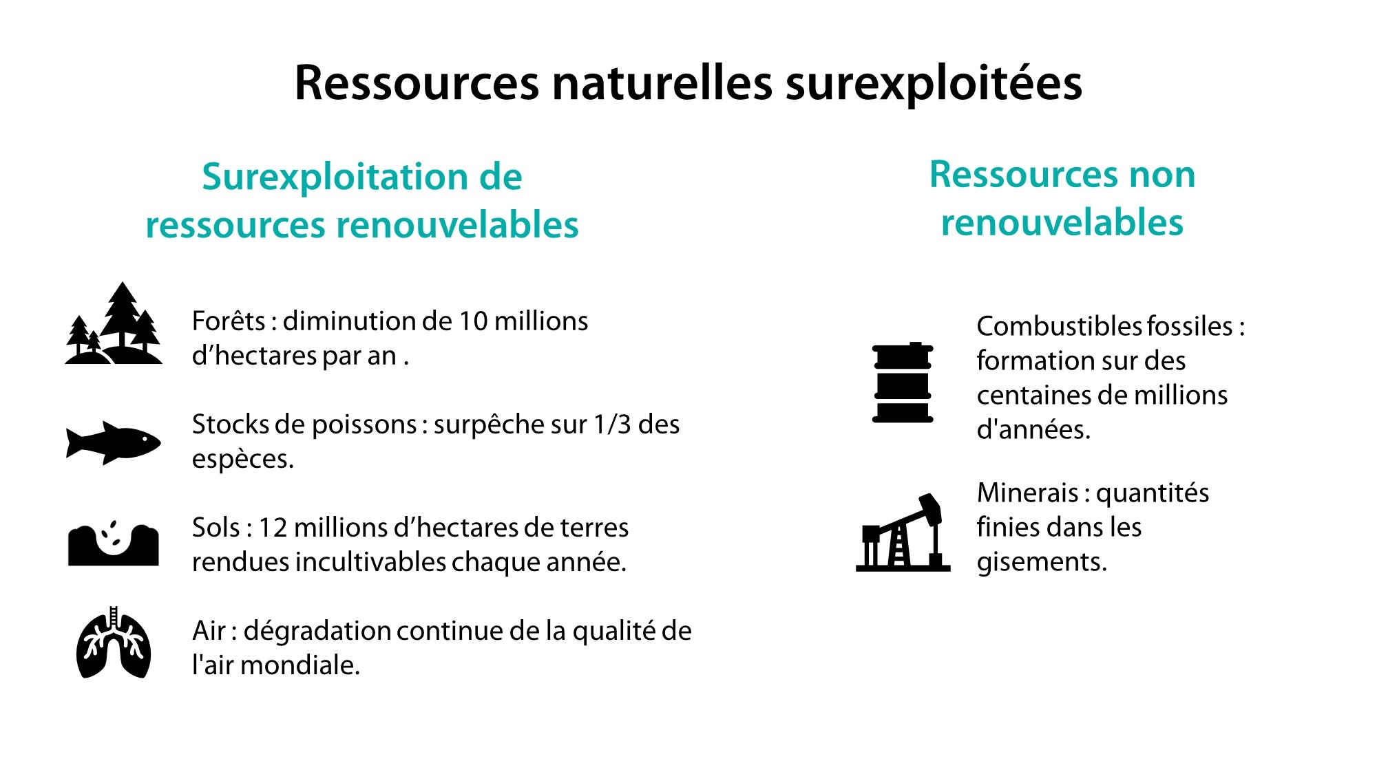 L’importance de l’utilisation durable : la “réutilisation durable” des ...