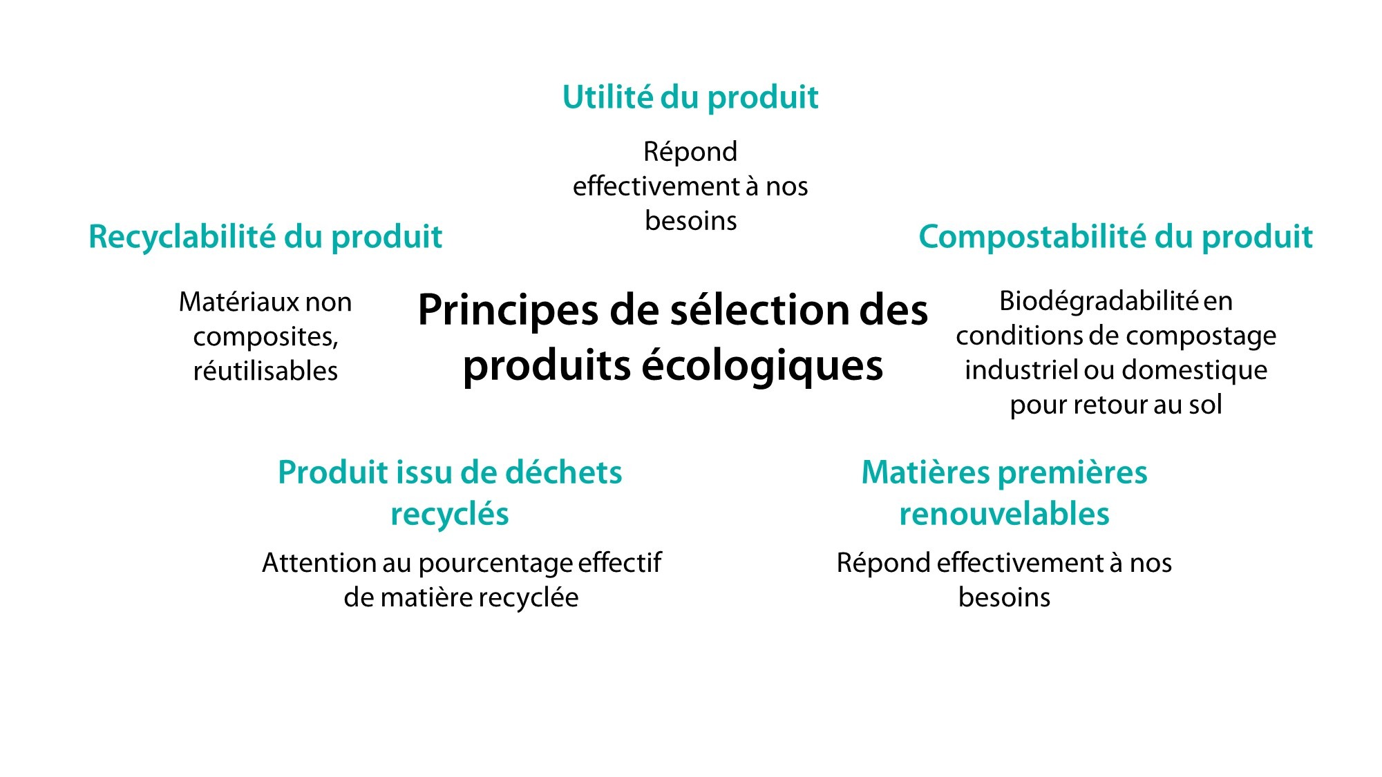 30 produits écologiques recommandés : 5 principes d'achat pour adopter ...