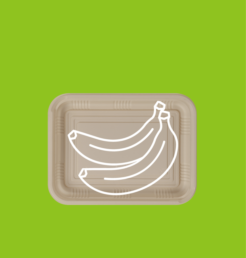 Bagasse Products: Eco-Friendly Food Packaging and Cutlery - renouvo